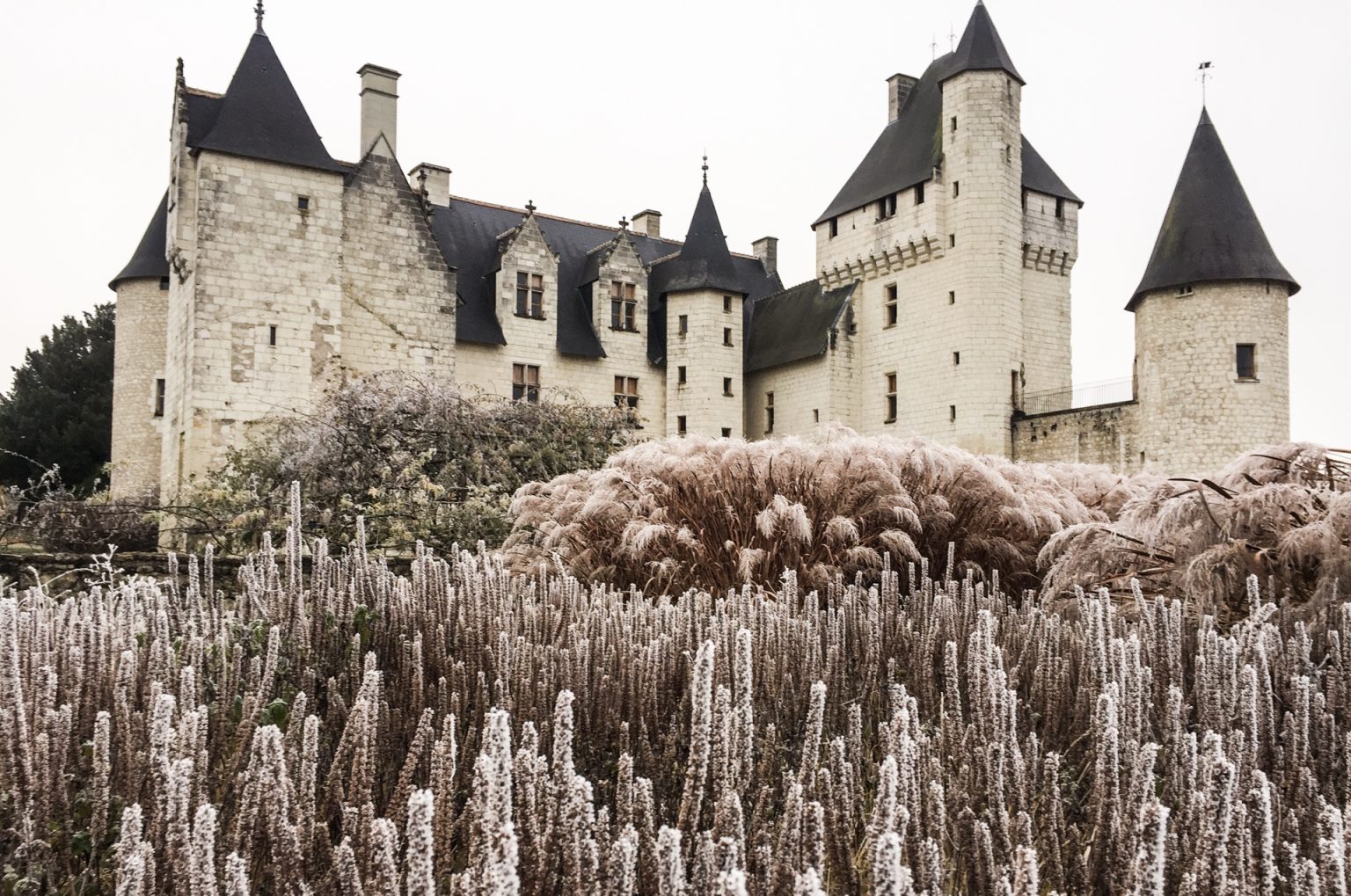 Gardens of the Loire - Gardens of the Castle Rivau